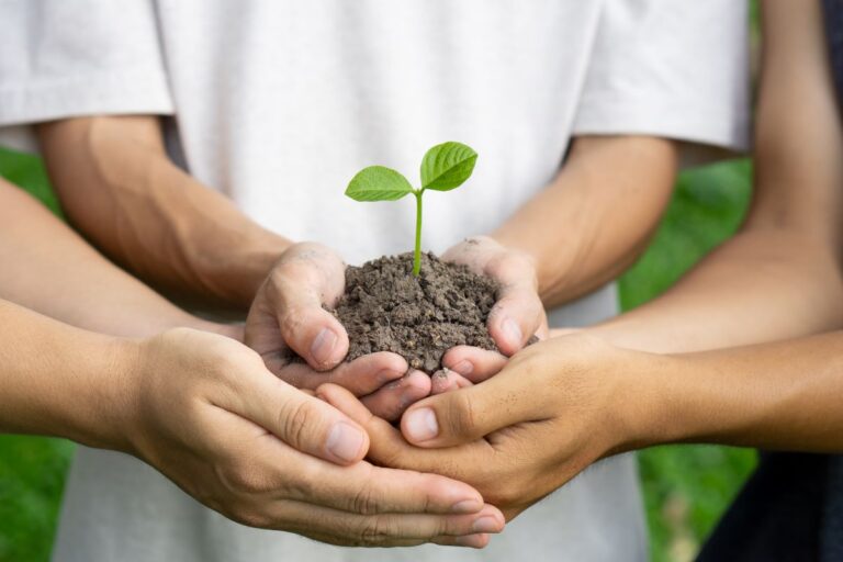 hCG Doubling Time Calculator & Guide - Fertility Spot