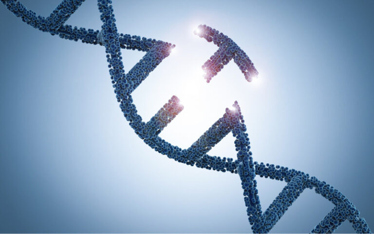 What is an Euploid Embryo? Euploid vs Aneuploid